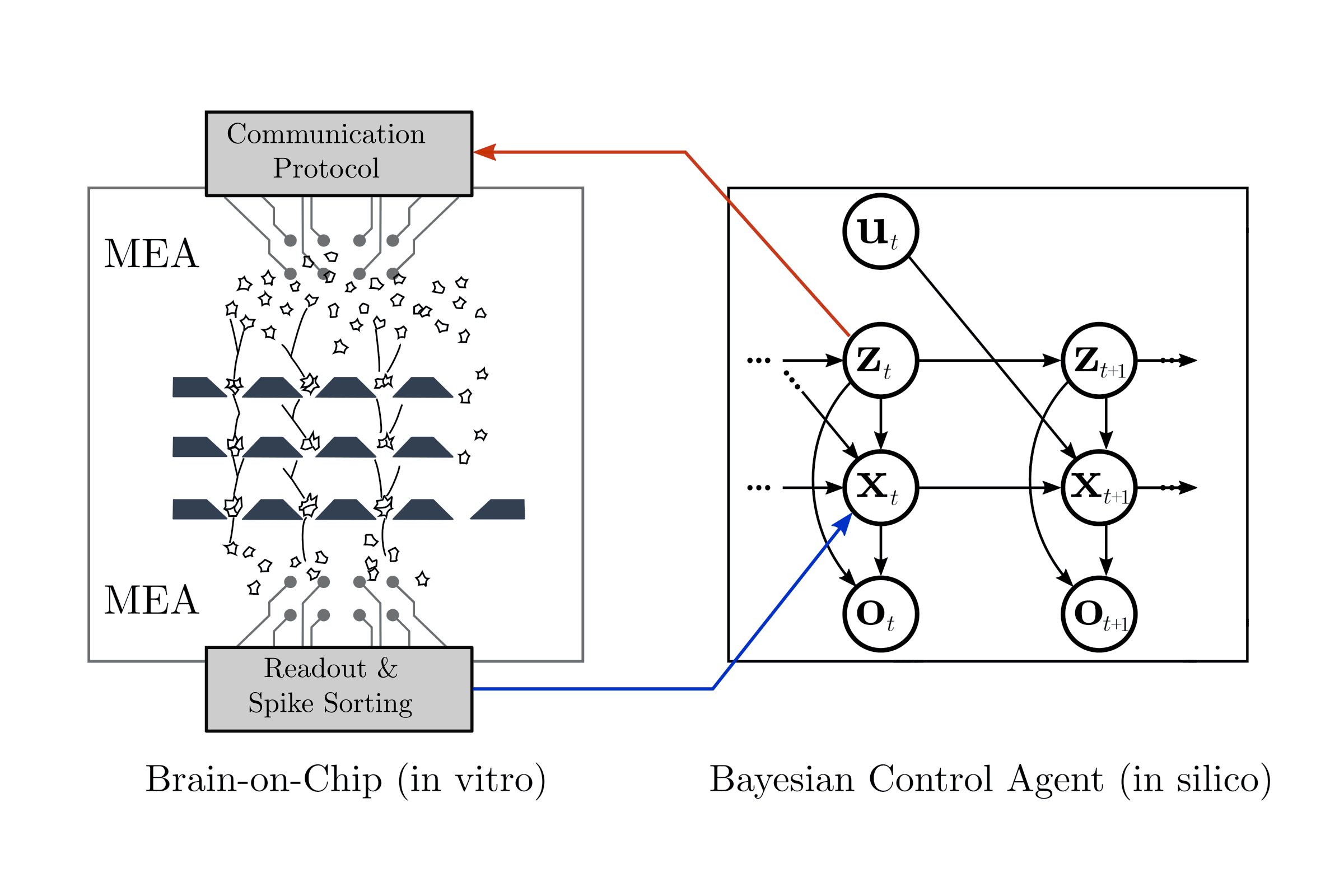 BayesBrain | Wouter M. Kouw